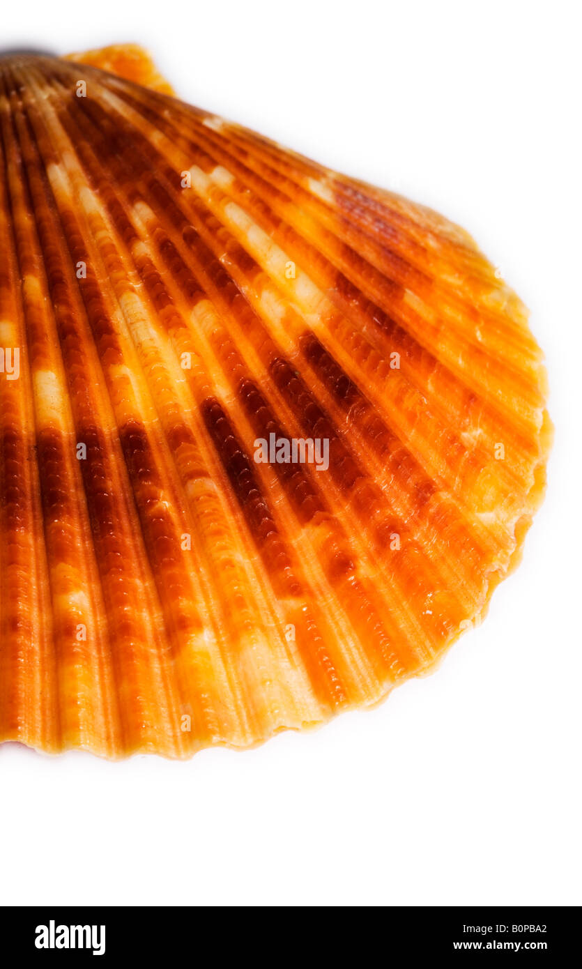 Seaside cut out hi-res stock photography and images - Alamy