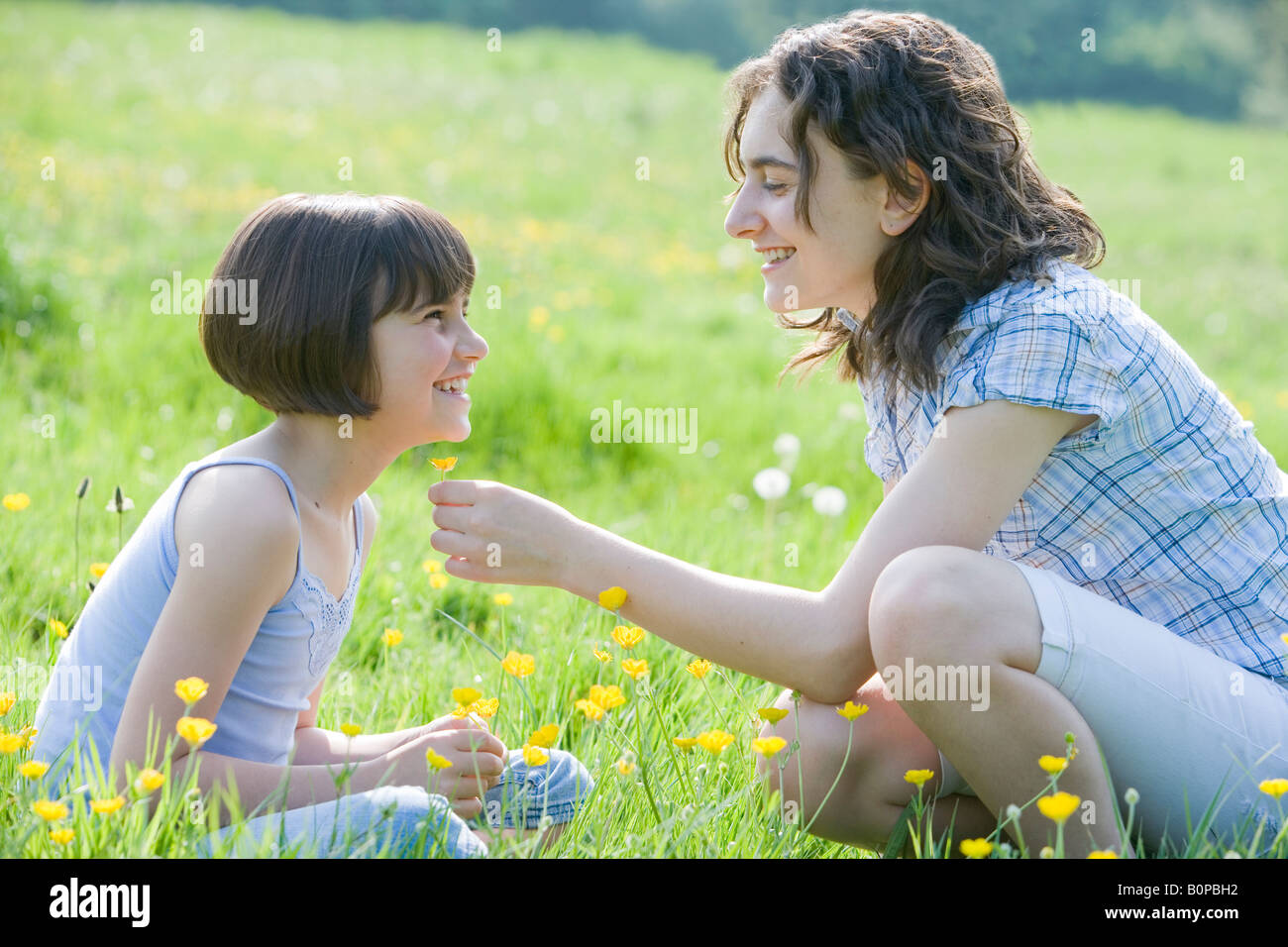 sisters sitting in buttercup field playing childhood games with flowers ...