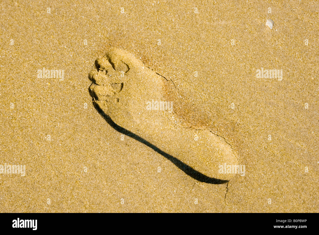 Horizontal close up of a solitary footprint in the sand on a sunny day ...