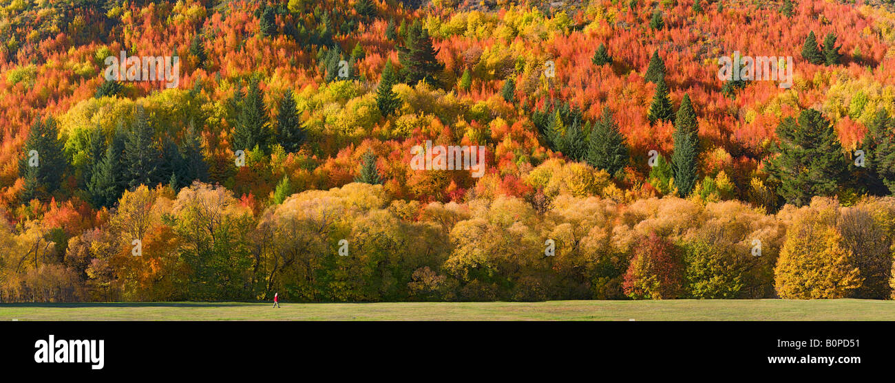 A lady walks past autumn colours at Arrowtown near Queenstown, New ...