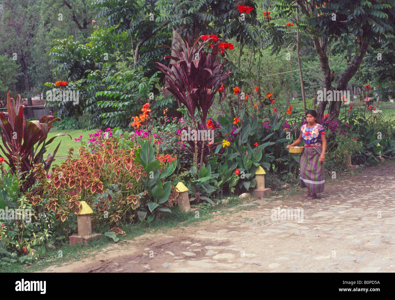 Mayan Quiche woman in traditional clothing walking by tropical plants ...