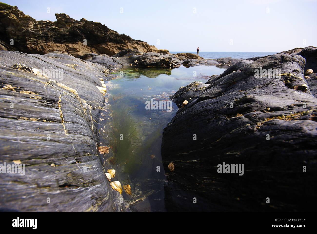 From beach level hi-res stock photography and images - Alamy