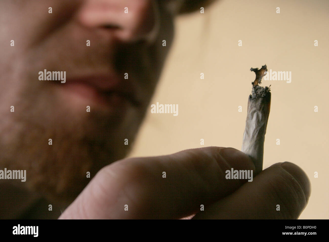 A cannabis spliff cigarette or joint being smoked, Amsterdam, Holland ...