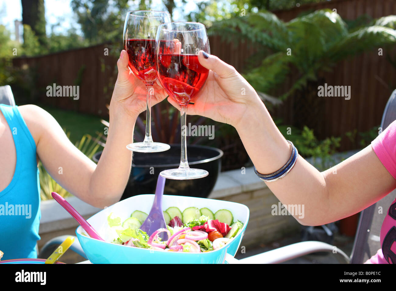 Young Women Making a Toast Models Released Stock Photo - Alamy