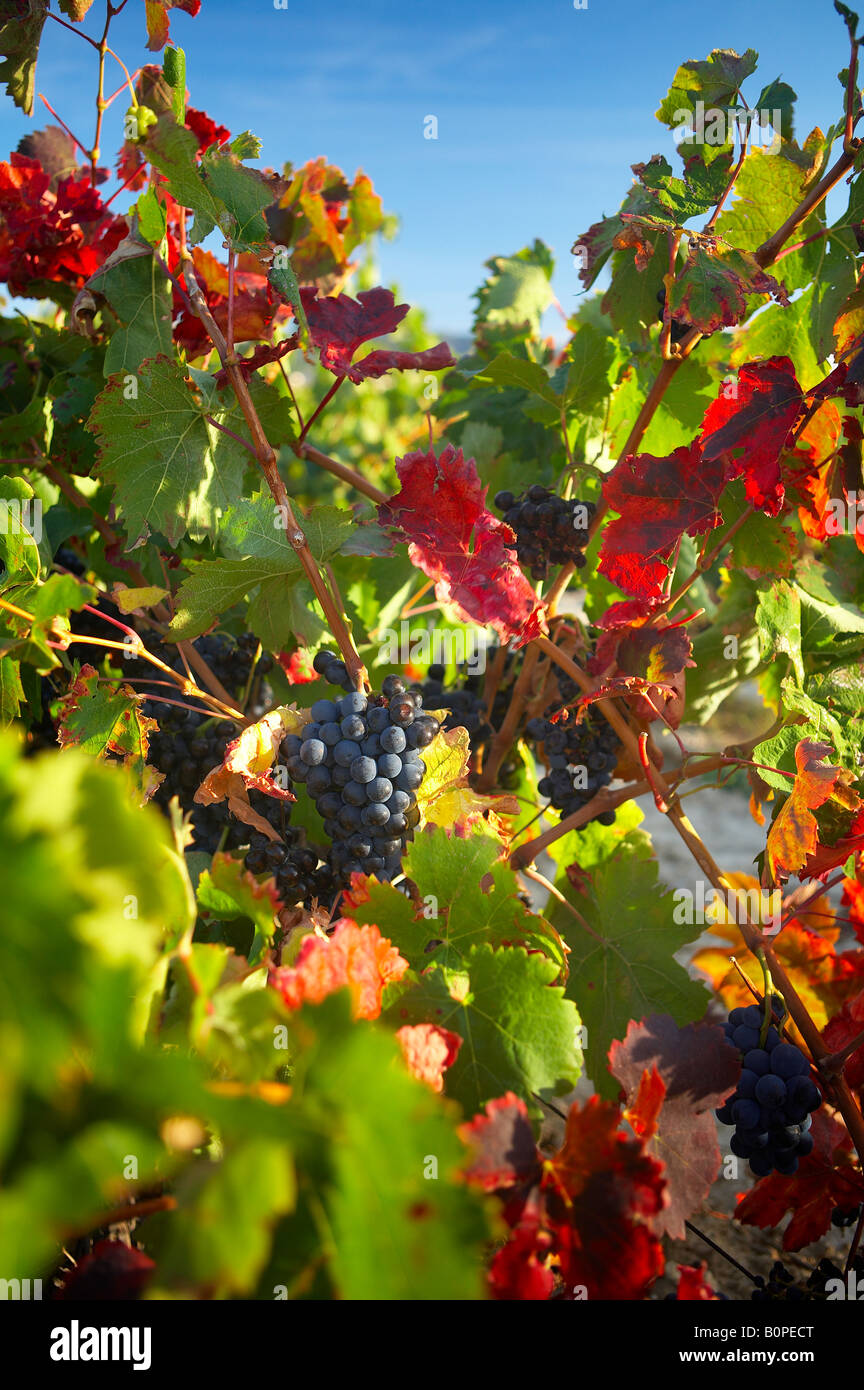 Côtes du rhône villages hi-res stock photography and images - Alamy