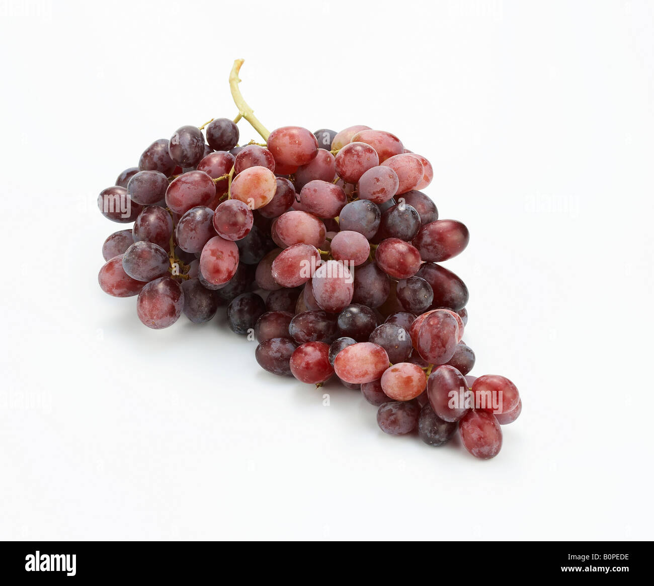 Bunch red grapes close up Cut Out Stock Images & Pictures - Alamy