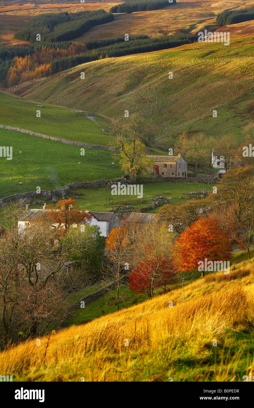 autumn colours at Arncliffe, Littondale, Yorkshire Dales National Park ...