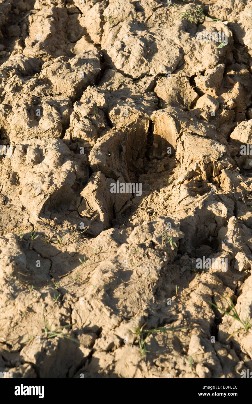 Churned up ground hi-res stock photography and images - Alamy
