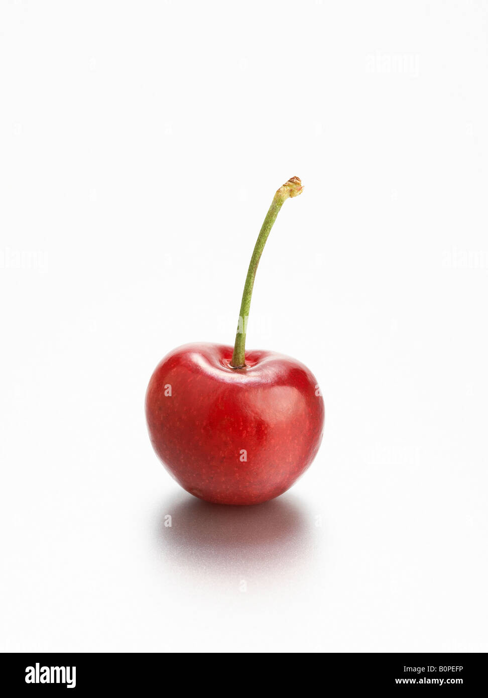 single cherry, close up Stock Photo - Alamy