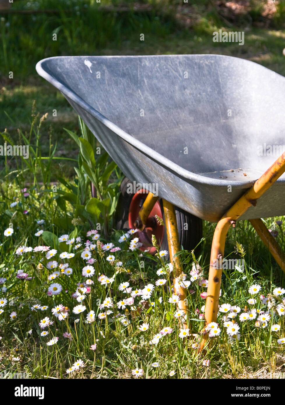 Wheelbarrow lazy garden hi-res stock photography and images - Alamy