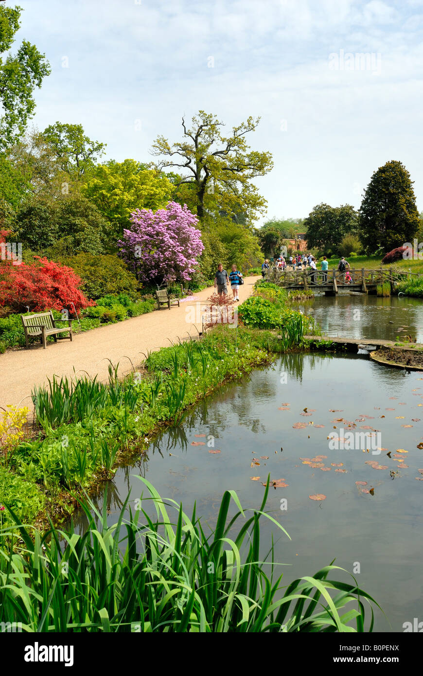 RHS Garden, Wisley , Surrey Stock Photo - Alamy
