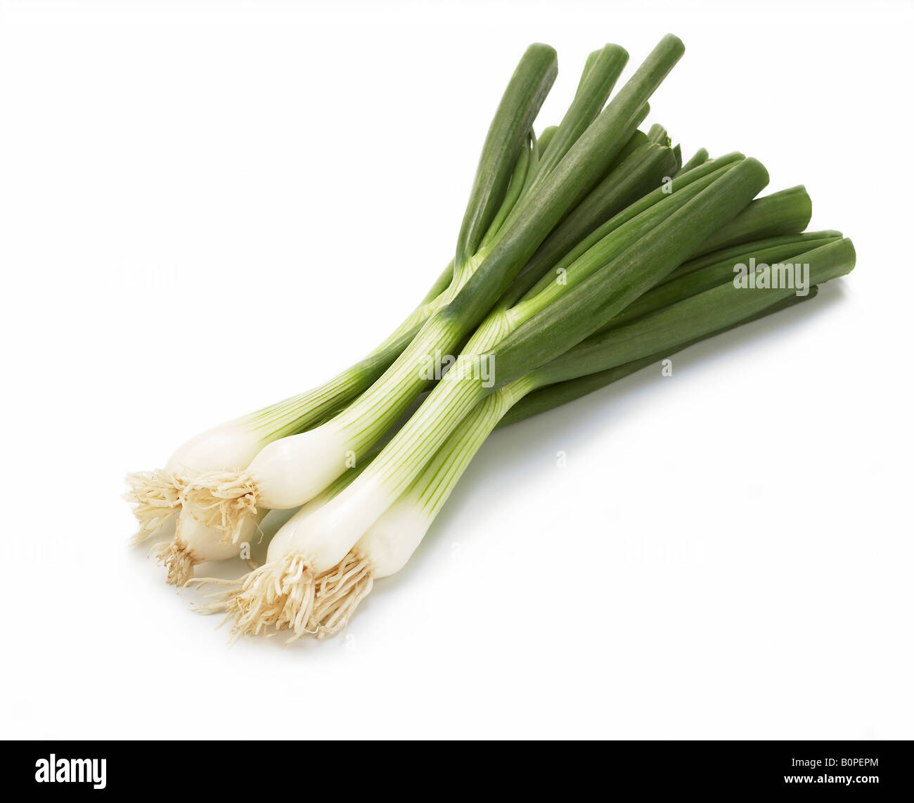 bunch of spring onions Stock Photo - Alamy