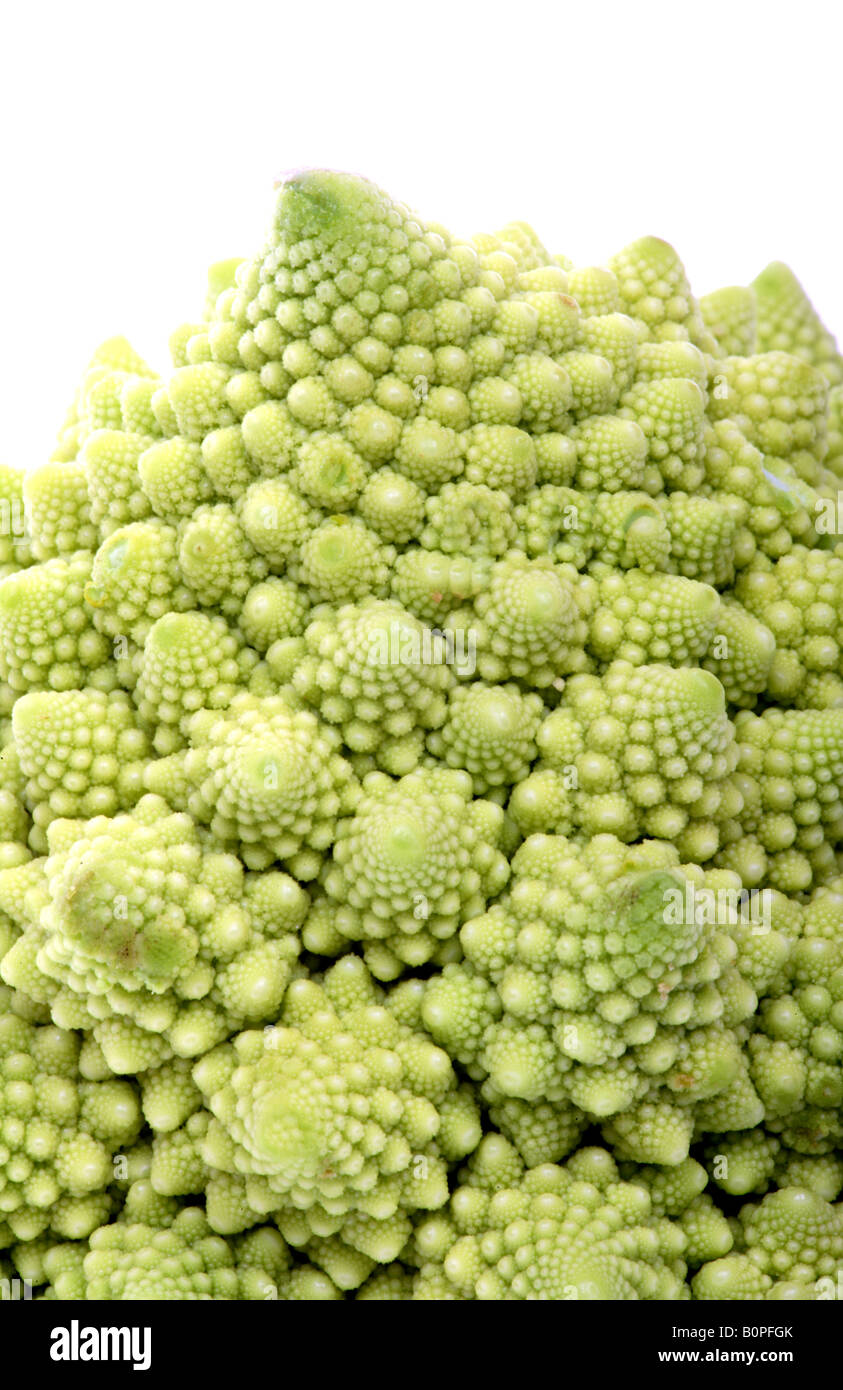 Fresh Healthy Raw Uncooked Romanesco Vegetable Isolated Against A White ...