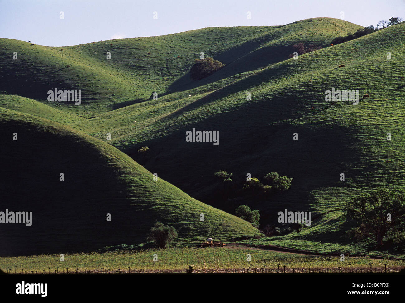 Hills above Wente Vineyards, Livermore, California Stock Photo - Alamy