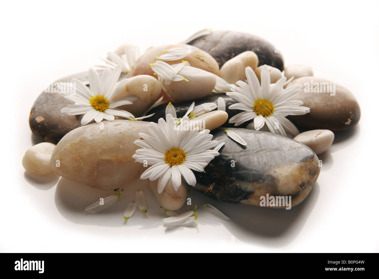 Perfume fragrance rocks hi-res stock photography and images - Alamy