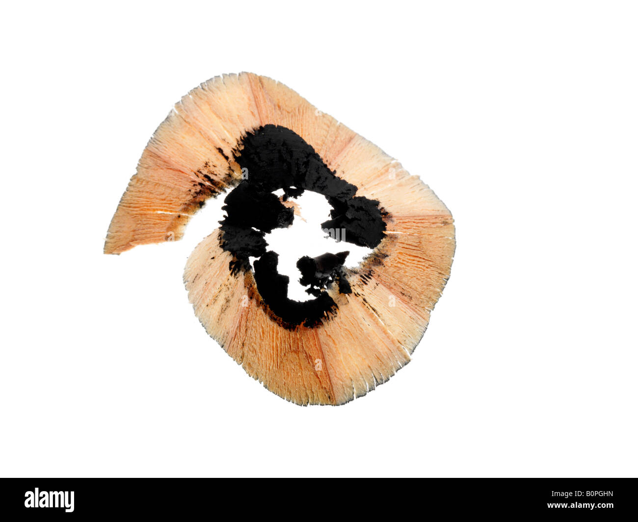 Eye pencil shaving hi-res stock photography and images - Alamy