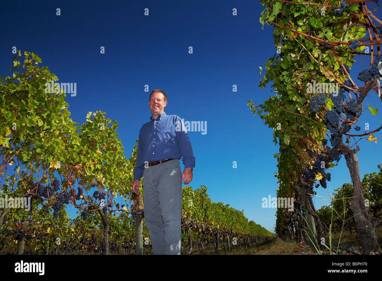 Michael Daymond King COA Hatton estate Stock Photo - Alamy