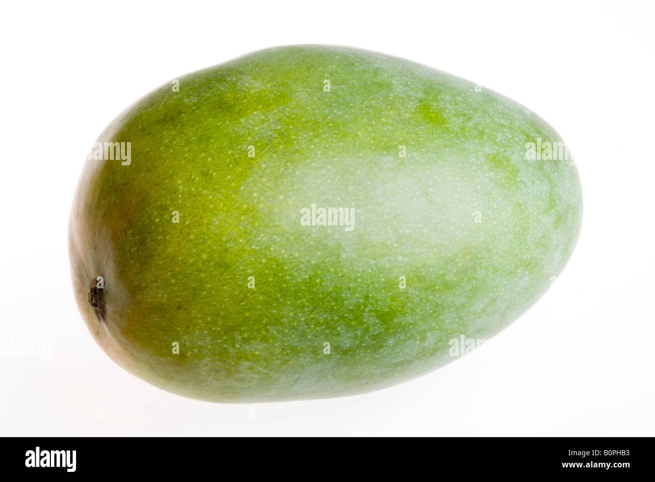 Mango mangifera indica hi-res stock photography and images - Alamy