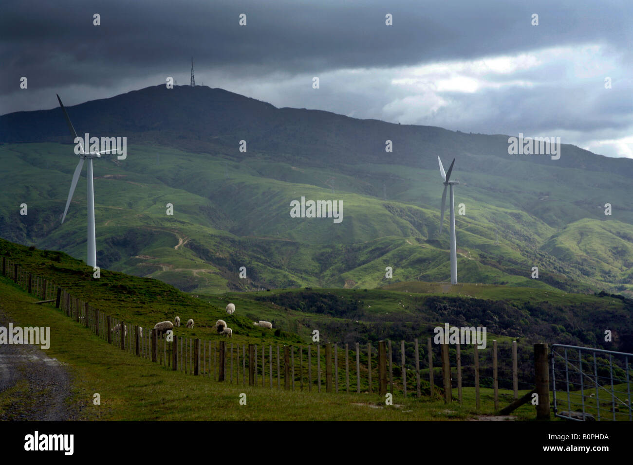 Ruahine range hi-res stock photography and images - Alamy