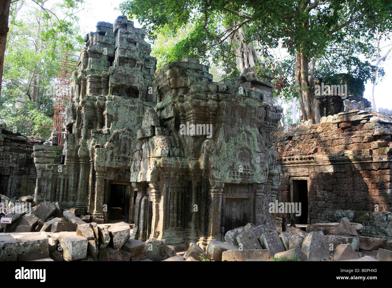 Tree engulfing temple walls hi-res stock photography and images - Alamy