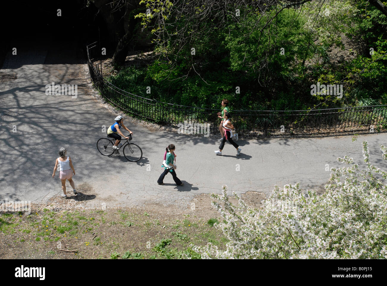 Path in Riverside Park used by bicyclists joggers and walkers Stock ...