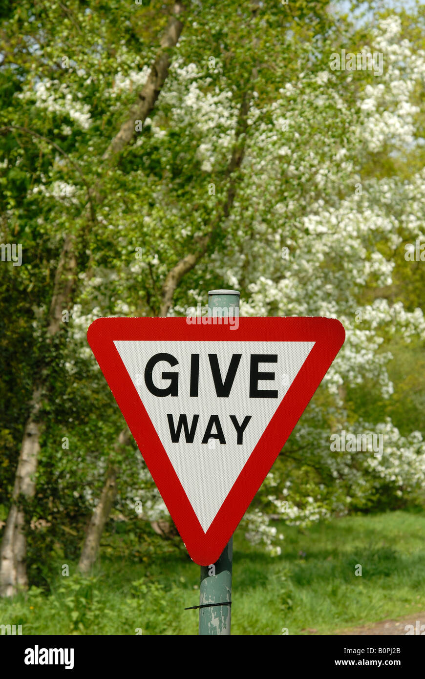 Give Way sign in countryside Stock Photo - Alamy