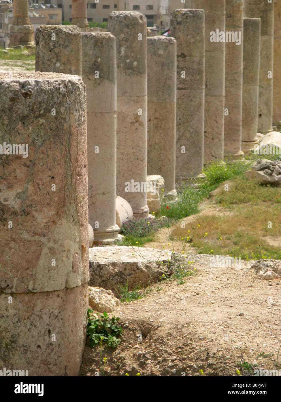 Roman columns in the ancient town of Jerash in northern Jordan, Jordan ...
