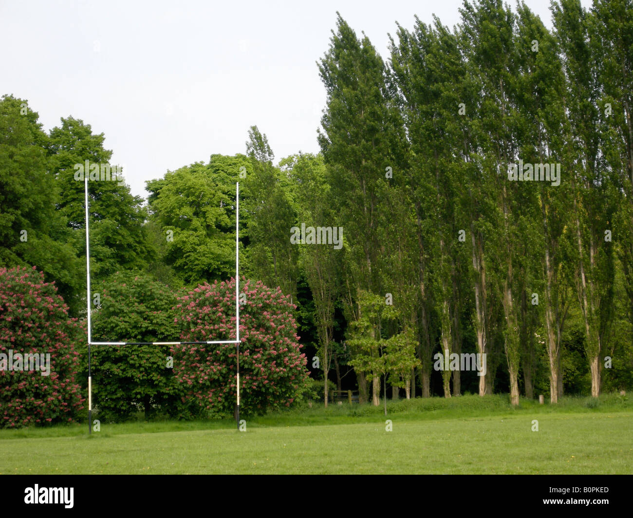 rugby post at corner of field Stock Photo - Alamy