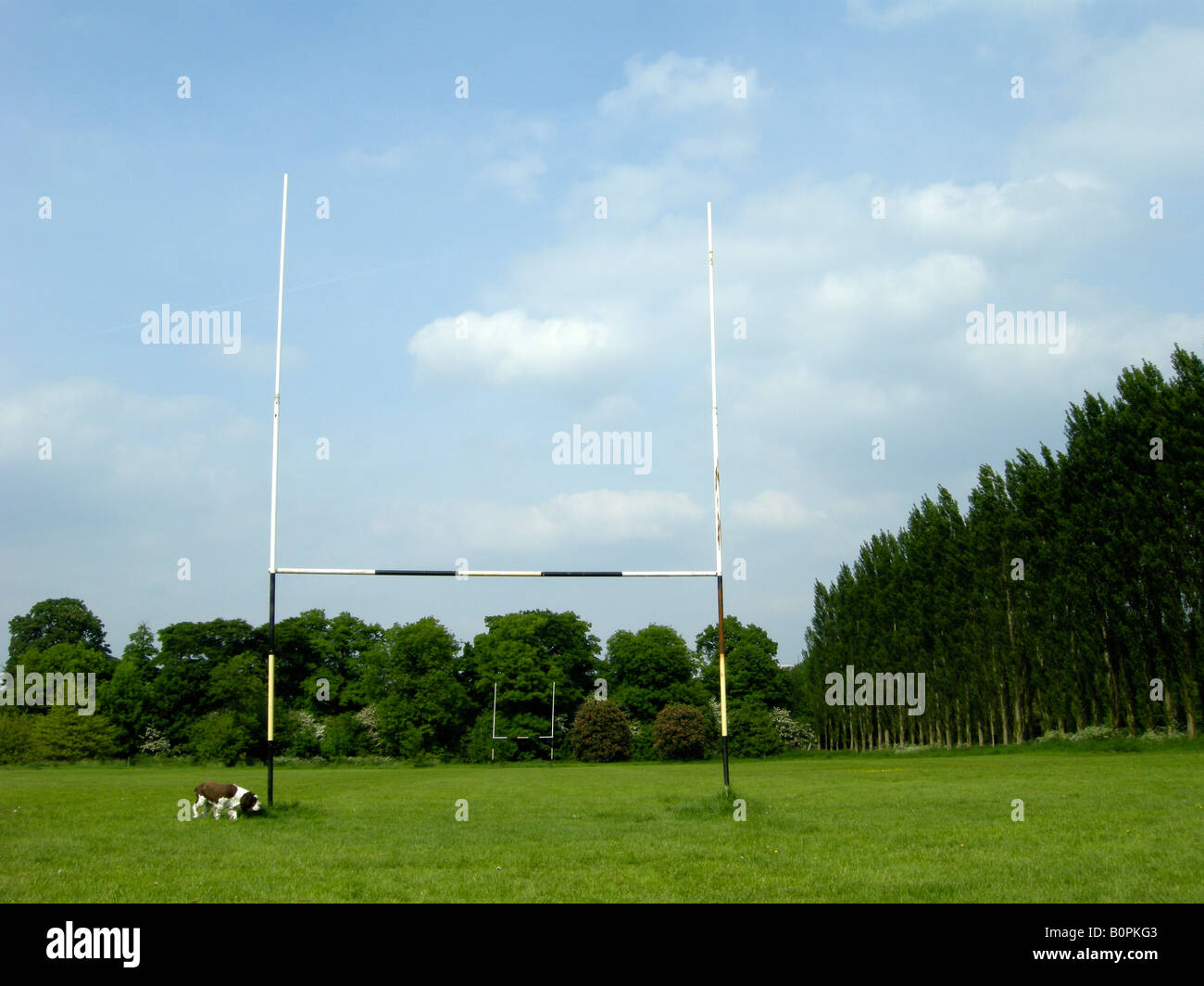 rugby posts on open field Stock Photo - Alamy