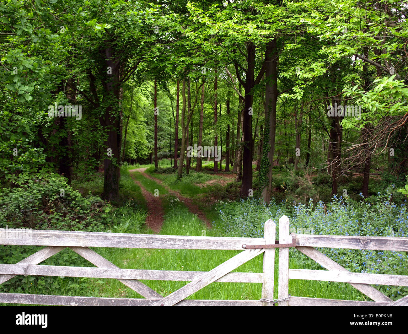 Five Bar Gates High Resolution Stock Photography and Images - Alamy