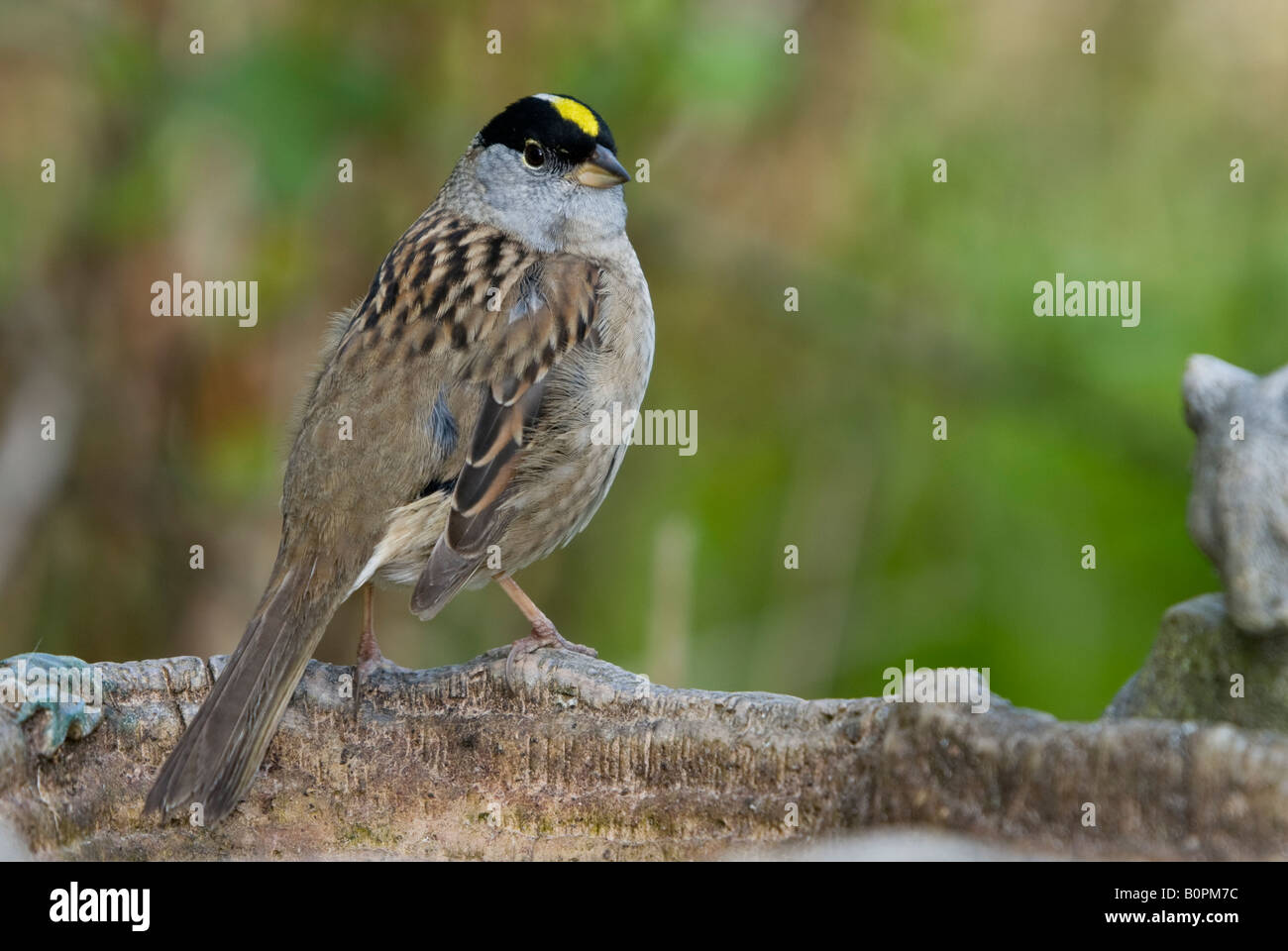 Ladner, British Columbia Stock Photo - Alamy