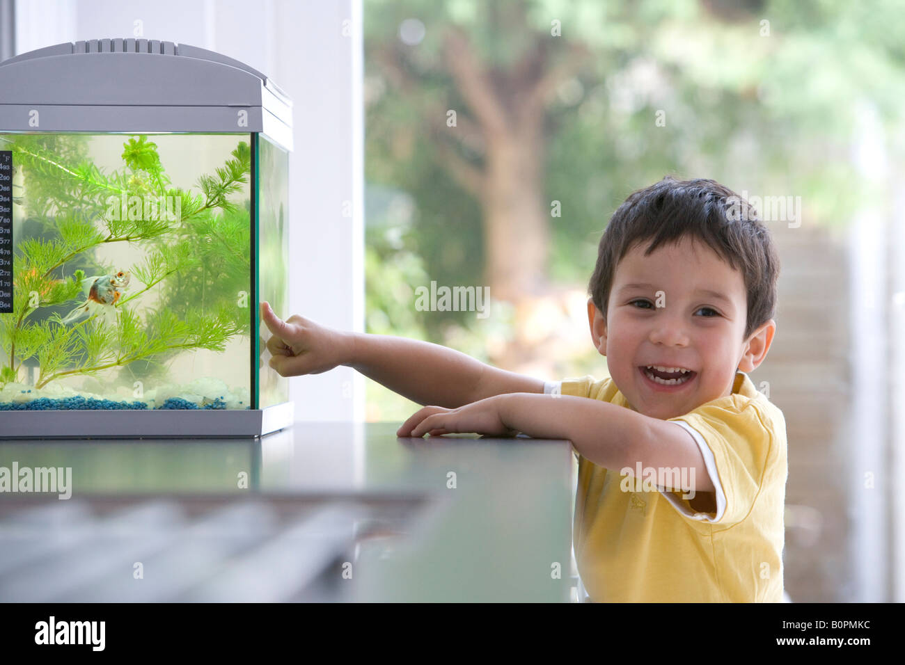 Little boy is pointing at the aquarium Stock Photo - Alamy