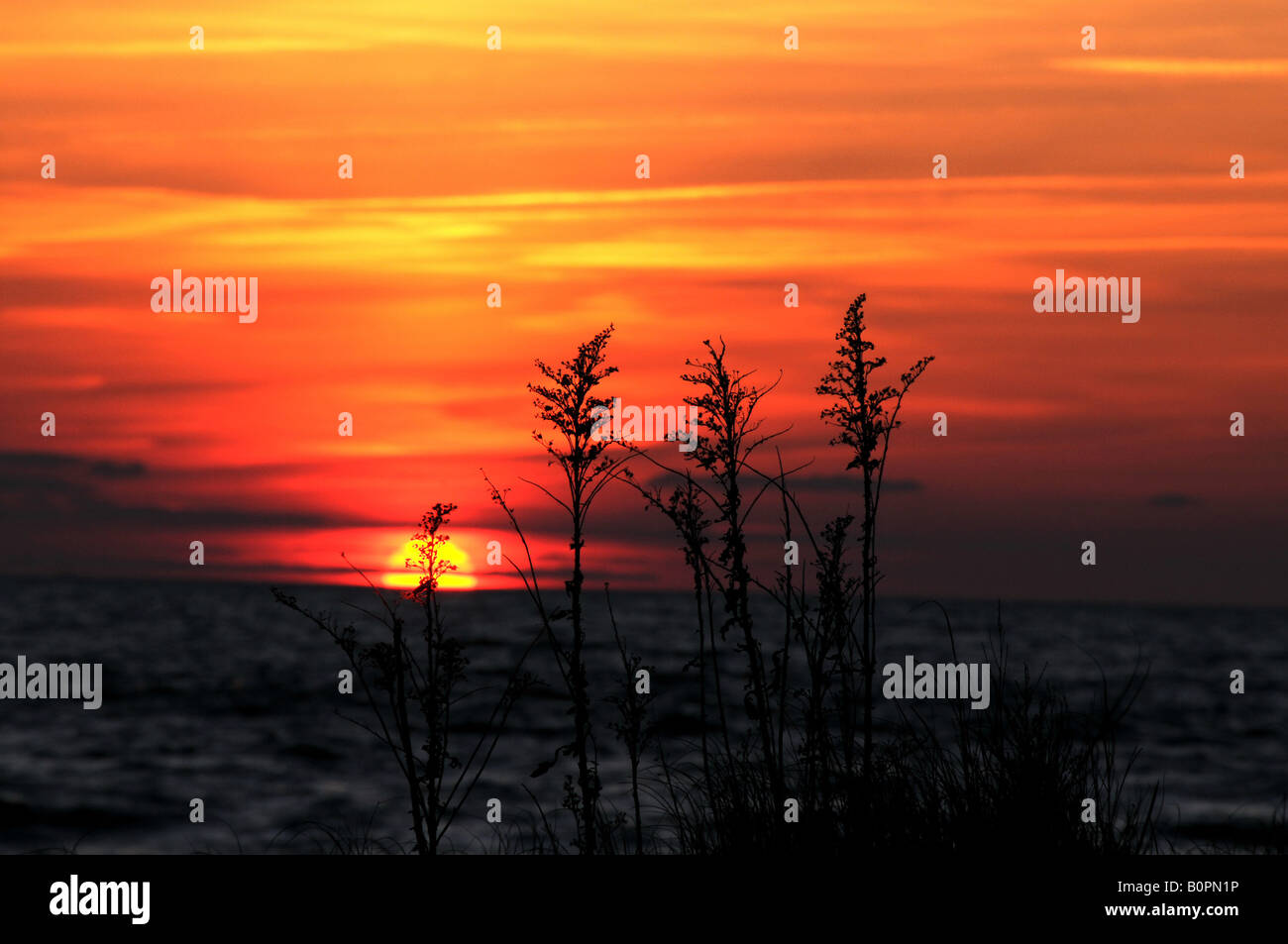 Red orange sunset hi-res stock photography and images - Alamy