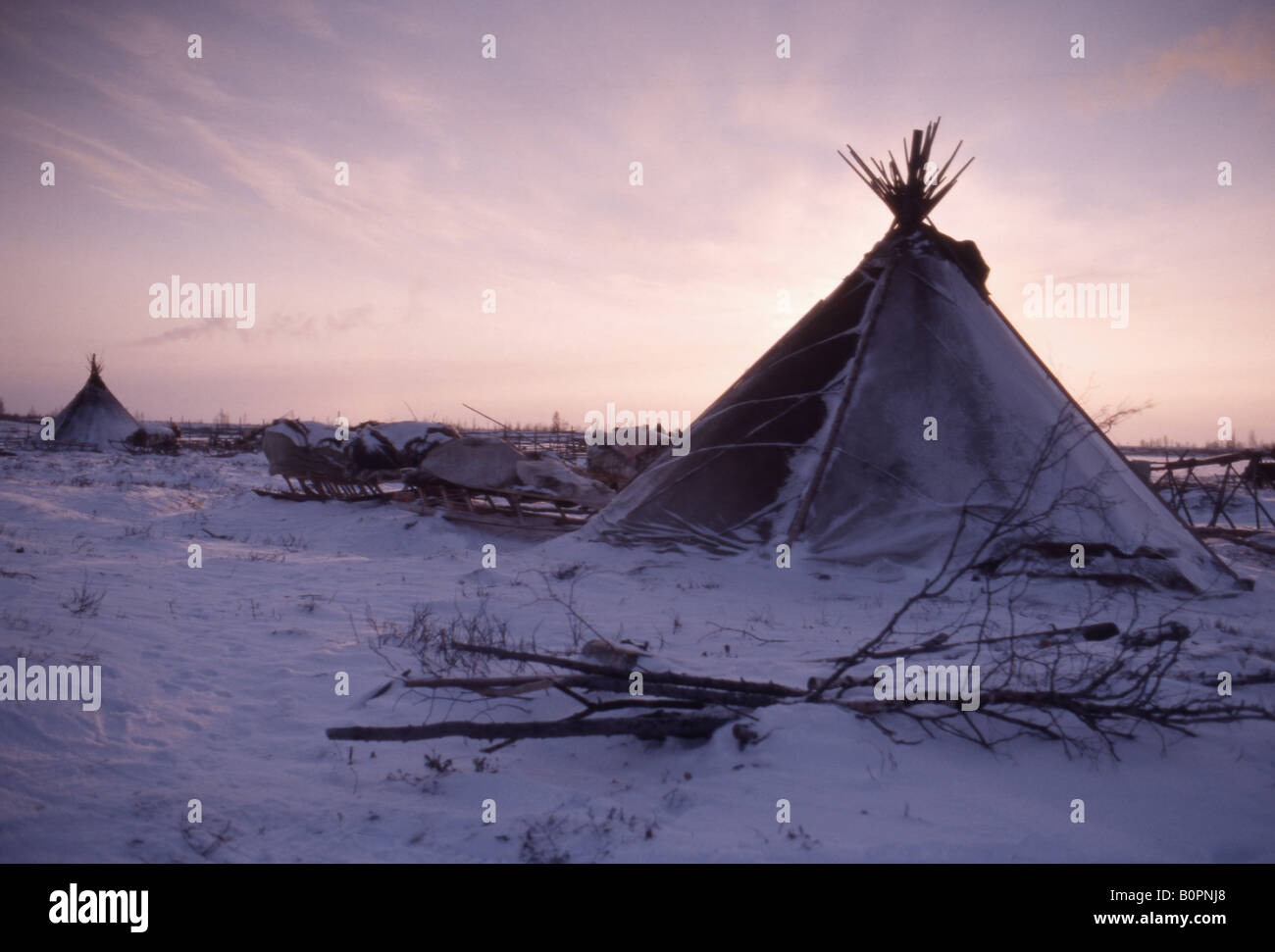 Natives settlement in tundra, Russian North Stock Photo - Alamy