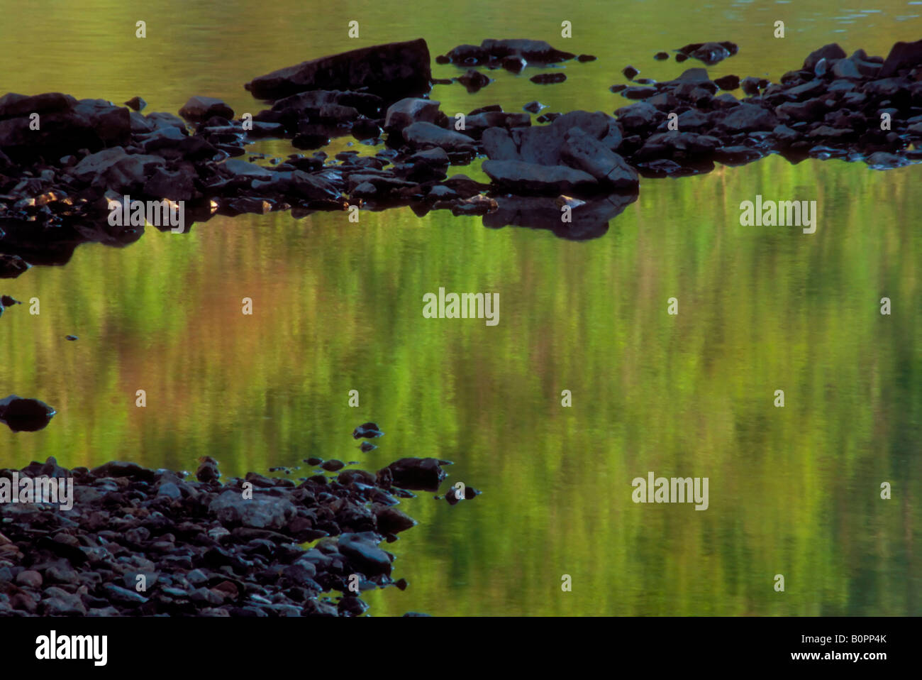 river rocks reflections of green trees Stock Photo - Alamy