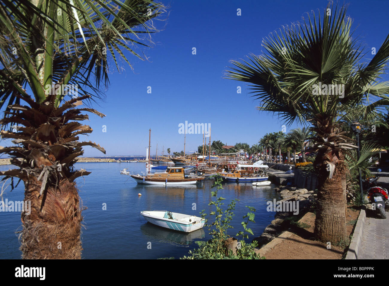 Side turkey hi-res stock photography and images - Alamy