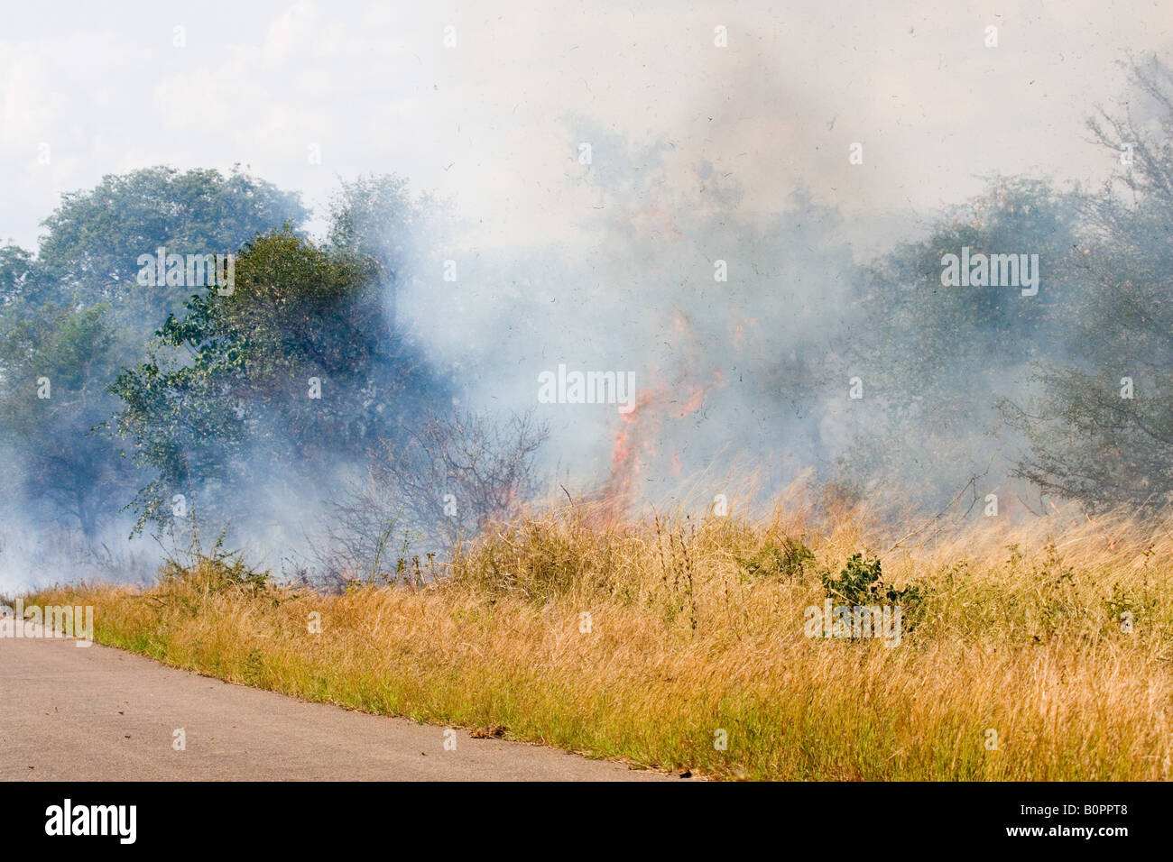 Veld fire hi-res stock photography and images - Alamy