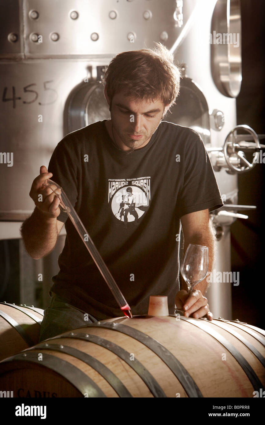 David Ramonteu winemaker hatton estate wine maker checking crate of ...