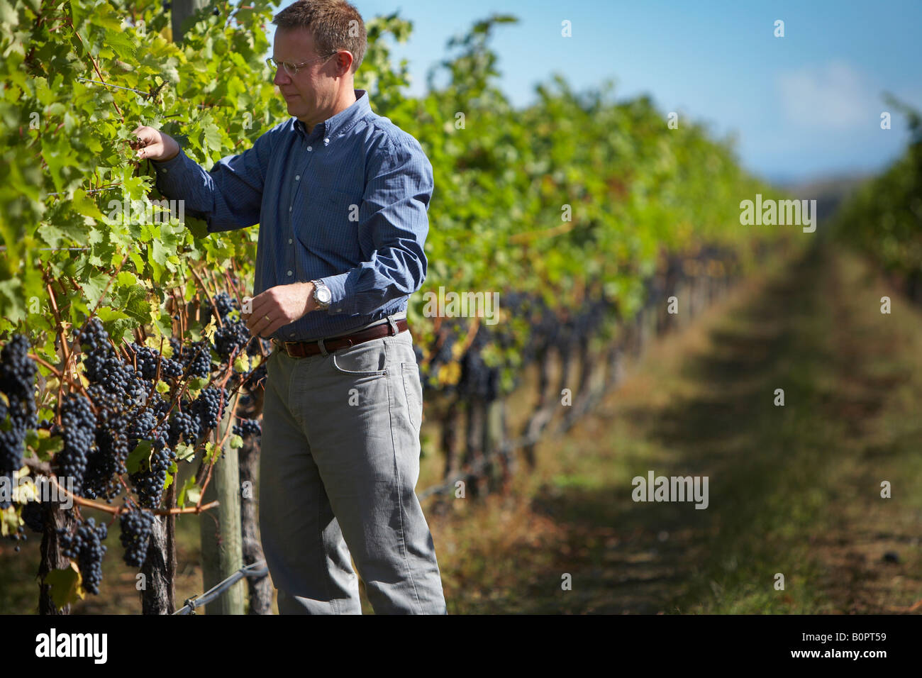 Michael Daymond King COA Hatton estate Stock Photo - Alamy