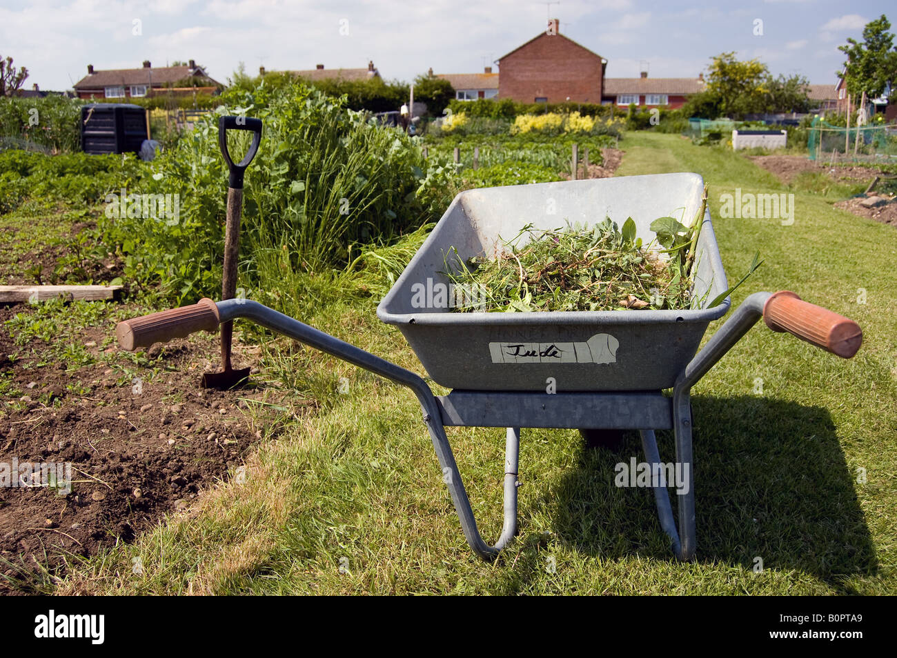 Garden waste in a wheelbarrow at an allotment Stock Photo - Alamy