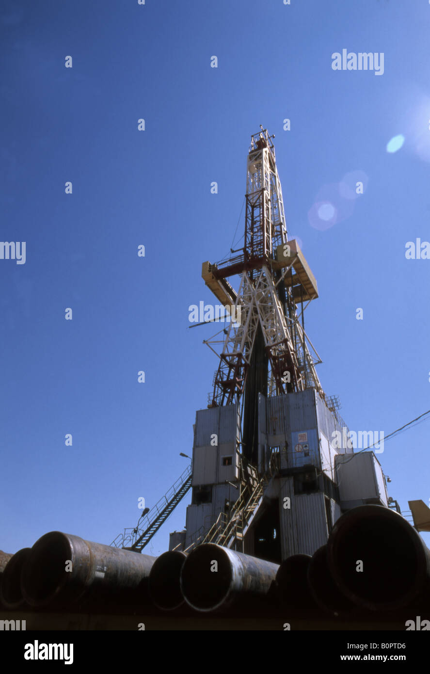 Astrachan hi-res stock photography and images - Alamy