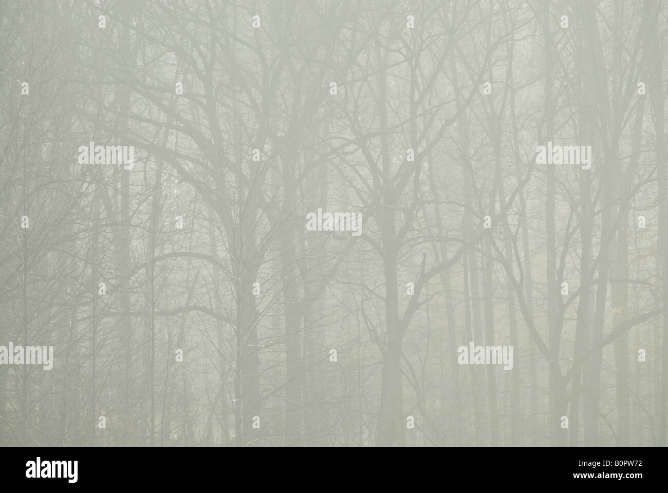Fog landscapes hi-res stock photography and images - Alamy