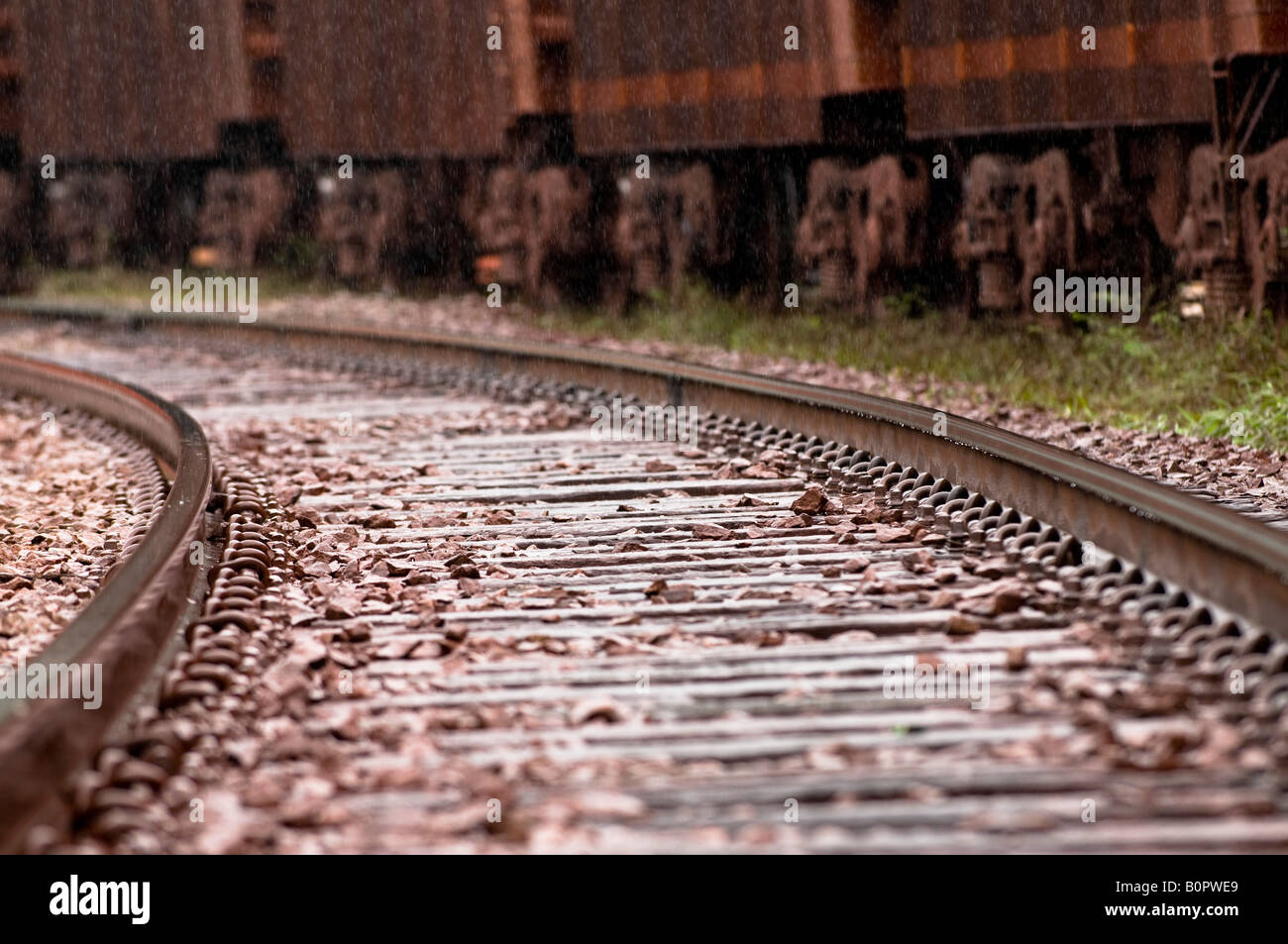 Brazilian mine hi-res stock photography and images - Alamy