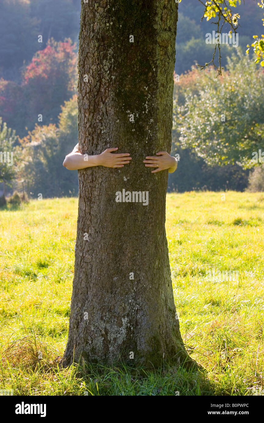 Embracing tree trees hi-res stock photography and images - Alamy