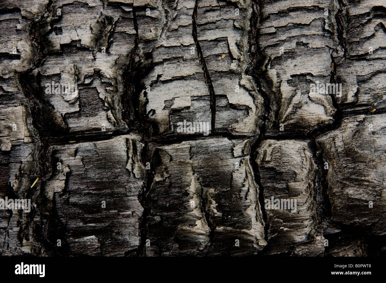 Disaster wood hi-res stock photography and images - Alamy