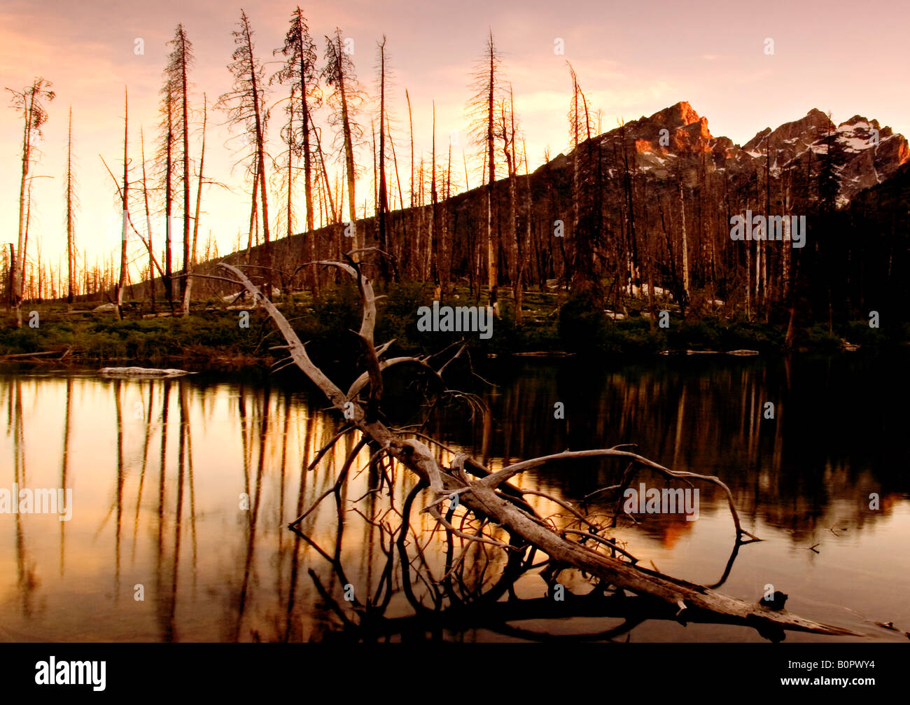 String Lake,Grand Teton National Park Stock Photo - Alamy