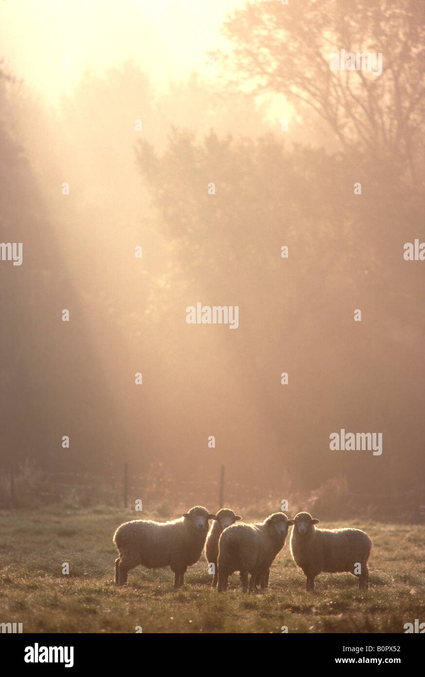 Underhill hi-res stock photography and images - Alamy