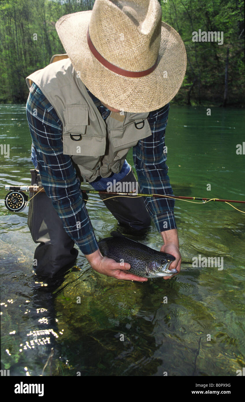 Fly fisherman with rainbow trout Tennessee Stock Photo - Alamy