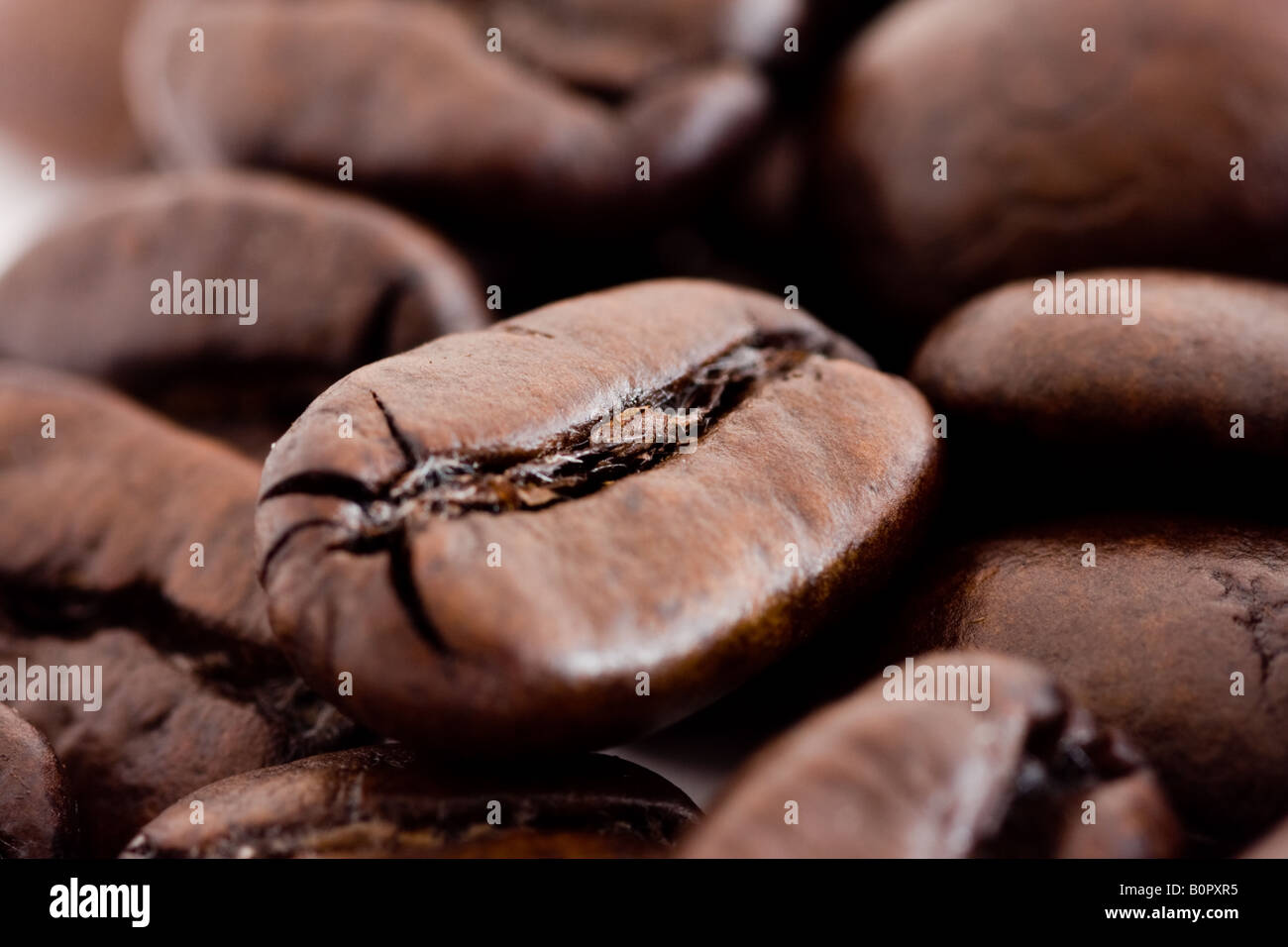 Coffee Beans, Macro Stock Photo - Alamy