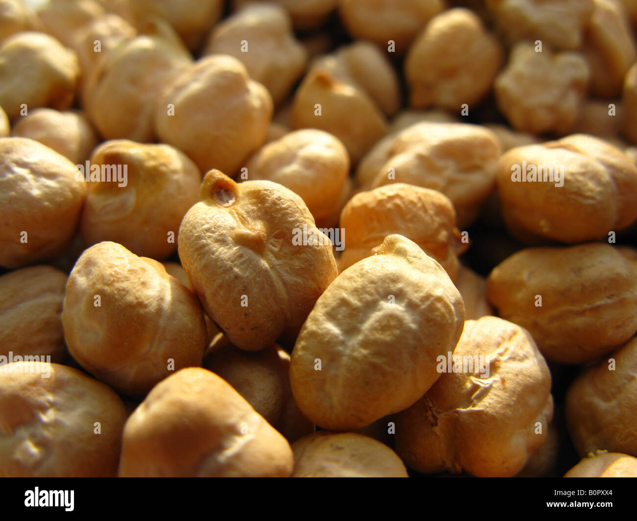 Garbanzos hi-res stock photography and images - Alamy